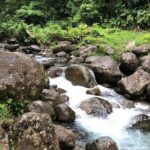 Small-Group Tour: Unmissable Martinique with St Pierre and More - Final Thoughts