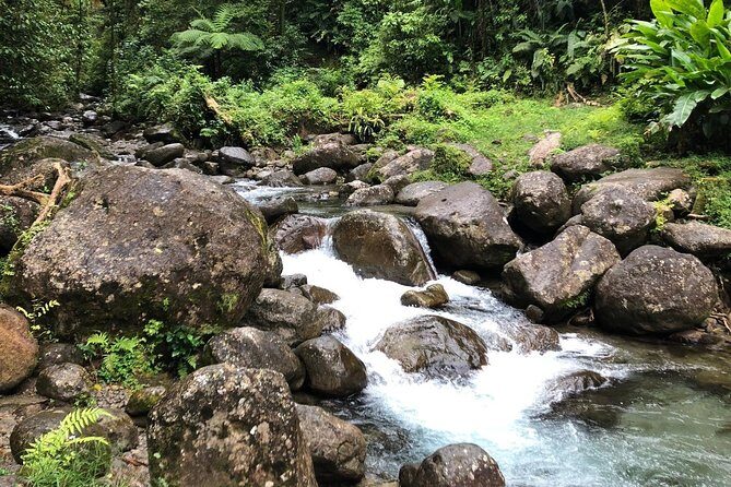 Small-Group Tour: Unmissable Martinique with St Pierre and More - Final Thoughts