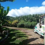 Small train tour of a banana farm in Martinique - FAQ