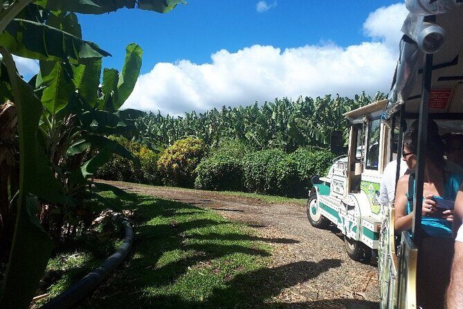 Small train tour of a banana farm in Martinique - FAQ