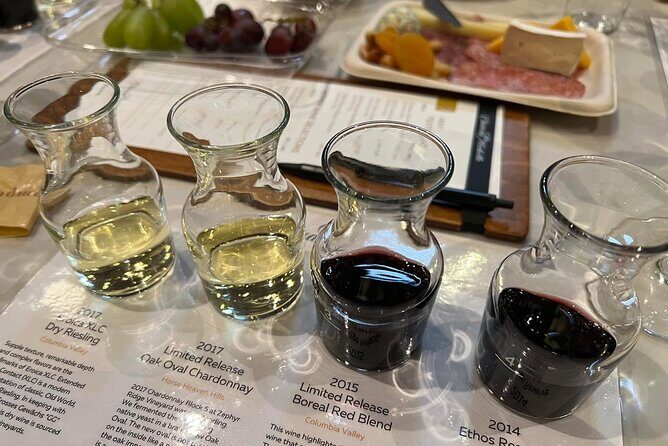 Snoqualmie Falls and Woodinville Wine Tour SUV or Van - Who Should Consider This Tour?