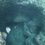 Snorkel Adventure in Cancun - Who Should Consider This Tour?