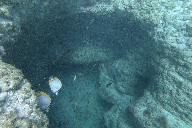 Snorkel Adventure in Cancun - Who Should Consider This Tour?