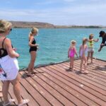 Snorkel Aruba's Vibrant Waters and Serene Mangroves Private Tour - The Value of This Experience