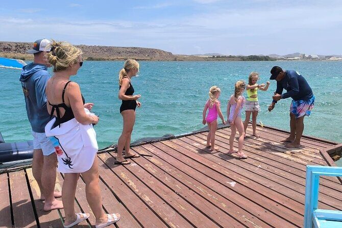 Snorkel Aruba's Vibrant Waters and Serene Mangroves Private Tour - The Value of This Experience