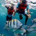 Snorkel at El Cielo in Cozumel with 2 more Reefs with Round Trip - In-Depth Look at the Experience
