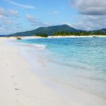 Snorkel Cruise Private Tour to Underwater Sculptures in Grenada - Who Would Love This Tour?