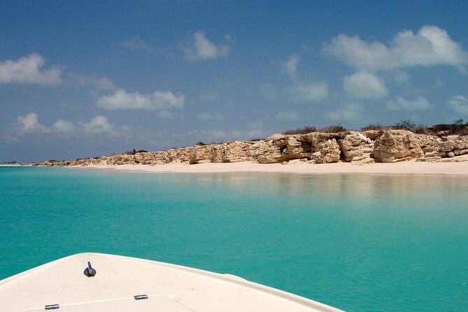 Snorkel Eco Tour - Final Thoughts