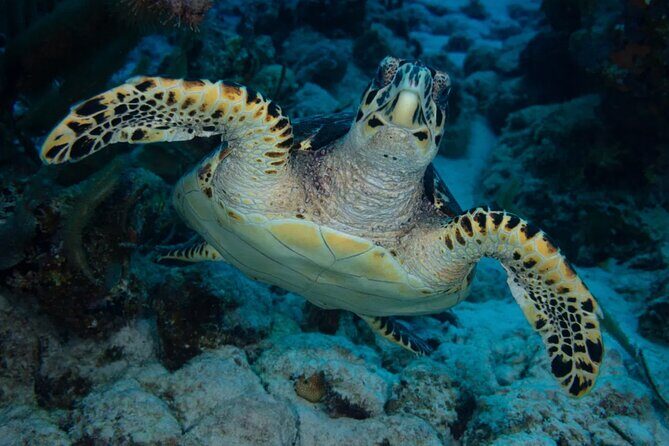 Snorkel Experience in Bonaire - The Atmosphere and Crew