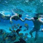 Snorkel in Cozumel and visit El Cielo - Who Should Consider This Tour?