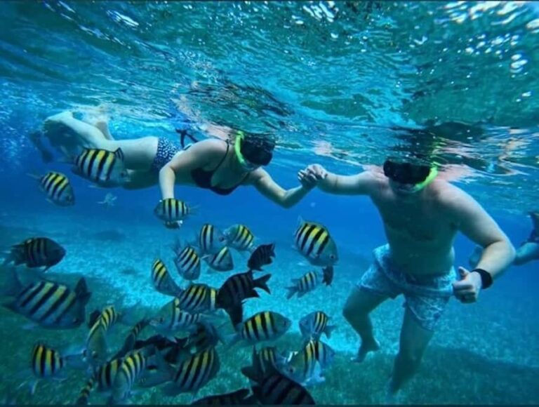 Snorkel in Cozumel and visit El Cielo - Who Should Consider This Tour?