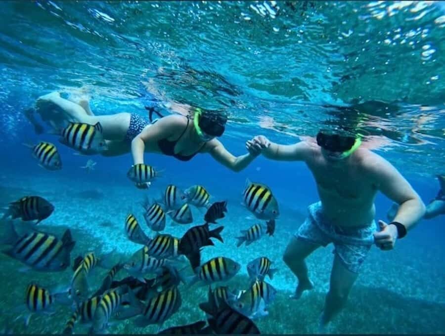 Snorkel in Cozumel and visit El Cielo - Who Should Consider This Tour?