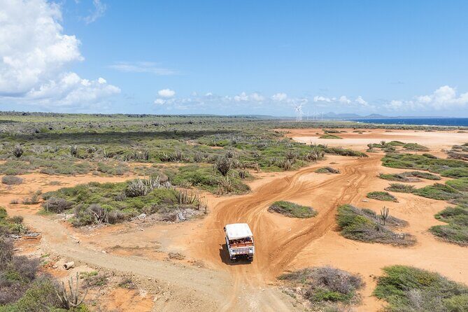 Snorkel Safari Tour - Who Is This Tour For?