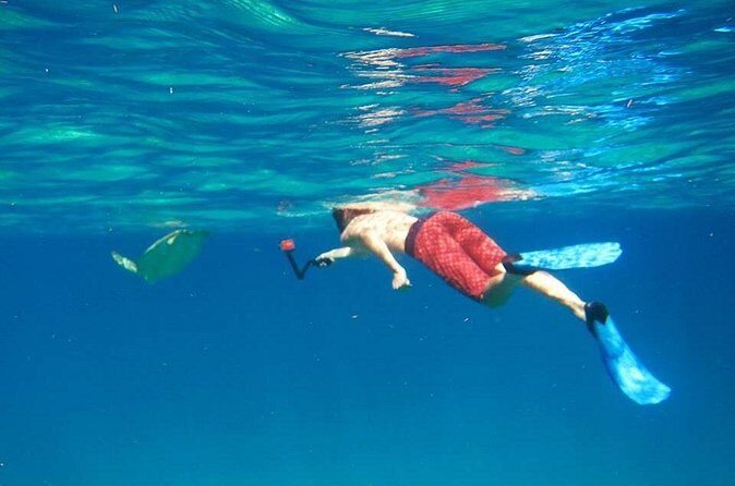 Snorkel Tour - Value and Price Analysis