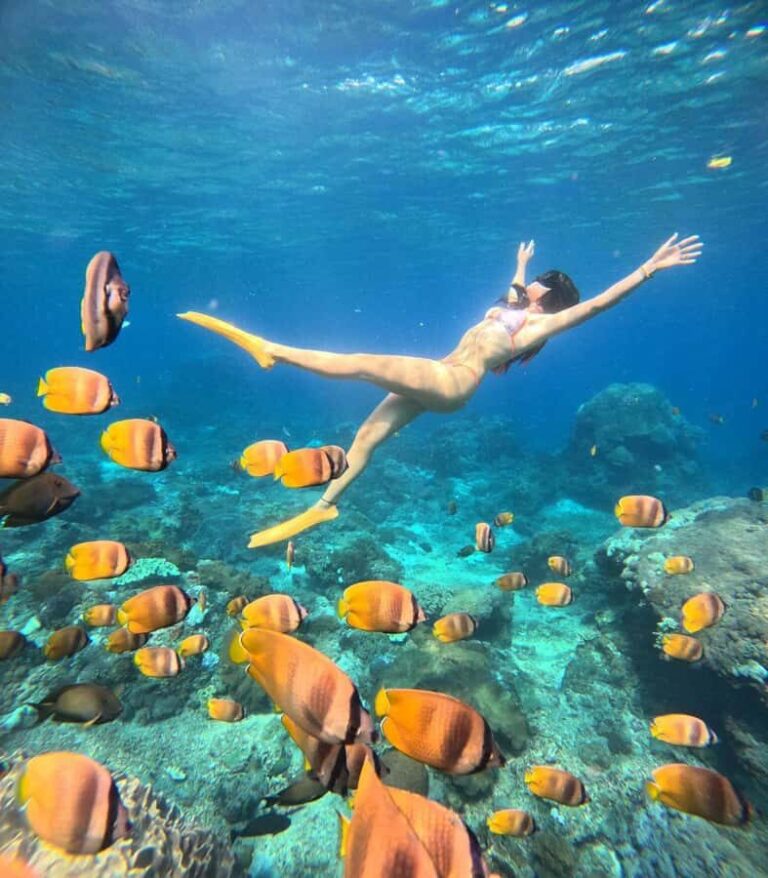 Snorkeling Activities + Western Side Nusa Penida Tour - Detailed Breakdown of the Itinerary