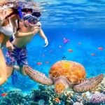 Snorkeling activity with Boat ride from Montego Bay - Practical Details at a Glance