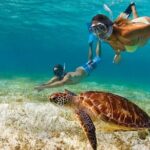 Snorkeling Activity with Boat Ride in Montego Bay - What Real Travelers Say