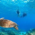 Snorkeling Adventure in Aguadilla - Why This Tour Stands Out