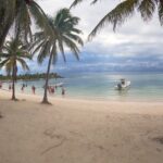 Snorkeling Adventure with Sea Turtles and Cenote Exploration - The Itinerary in Detail