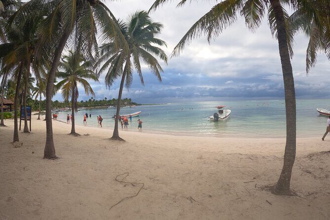 Snorkeling Adventure with Sea Turtles and Cenote Exploration - The Itinerary in Detail