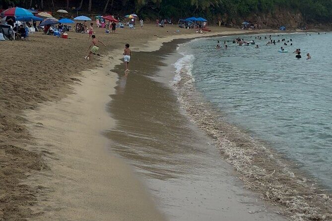 Snorkeling and Sightseeing Tour Explore Puerto Rico Marine Life - Authenticity and Value