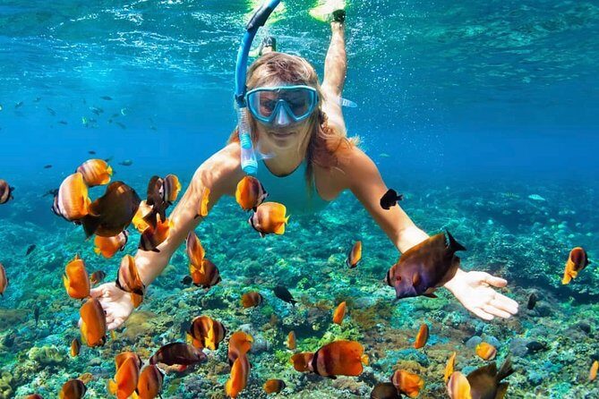 Snorkeling At Blue lagoon And Hidden waterfall - Authentic Experiences and Guided Expertise