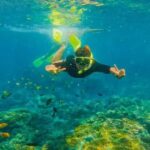 Snorkeling at Blue Lagoon And Waterfall - All inclusive - Practical Details: What to Expect and Considerations