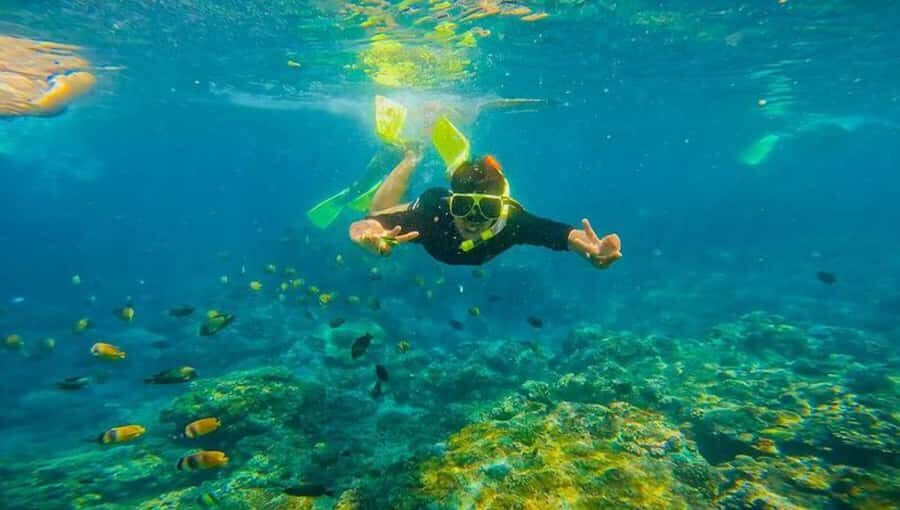 Snorkeling at Blue Lagoon And Waterfall - All inclusive - Practical Details: What to Expect and Considerations