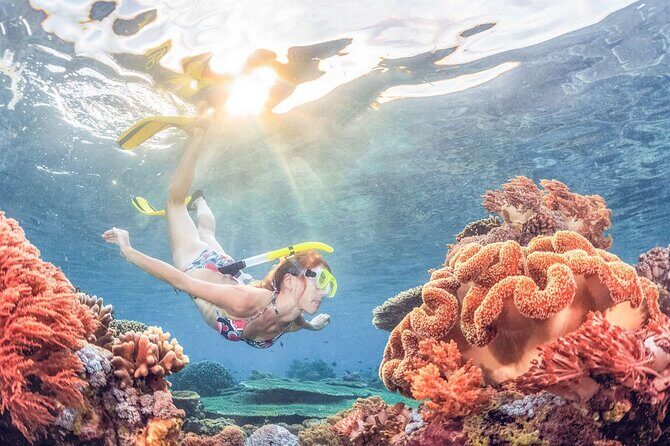 Snorkeling at Blue Lagoon Bali with Lunch and Transport - Authentic Local Guides and Customer Service