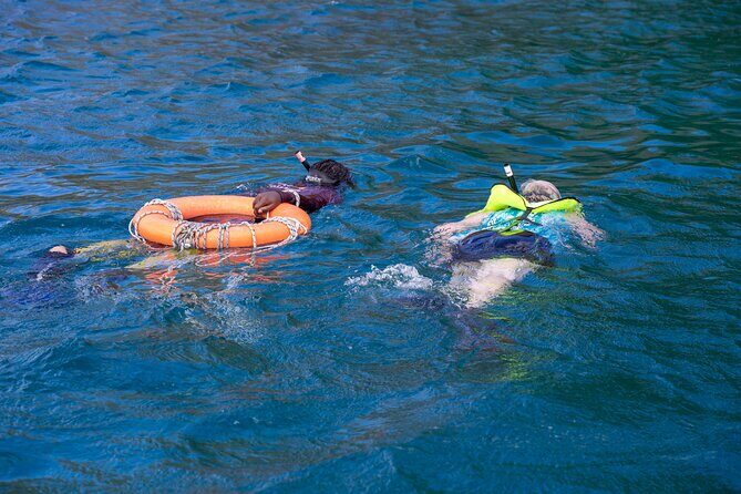 Snorkeling at Pigeon Island - Final Thoughts: Is This Tour Right for You?