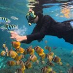 Snorkeling Blue Lagoon With lunch - Practical Details: What You Need to Know