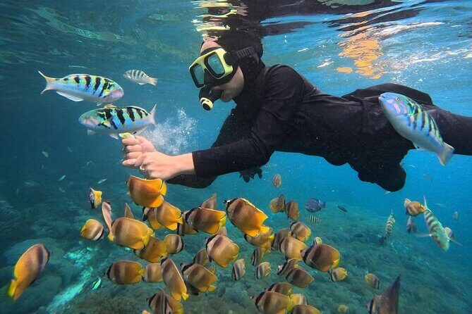 Snorkeling Blue Lagoon With lunch - Practical Details: What You Need to Know