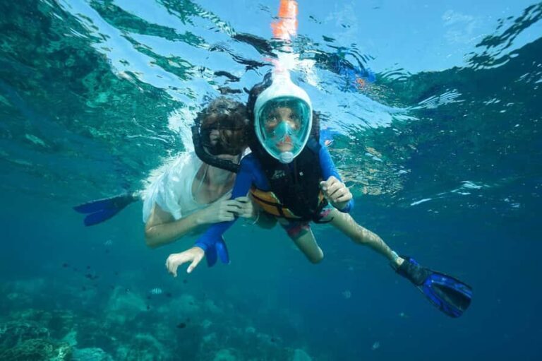 Snorkeling course, become a confident snorkeler. - The Real Value of This Snorkeling Course