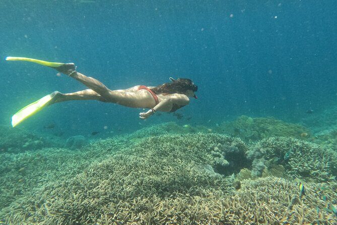 Snorkeling Day Trip to Nusa Lembongan and Nusa Penida - Who Should Consider This Tour?