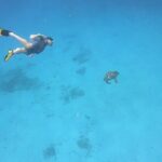 Snorkeling Gear Rental - What’s Included and How It Works