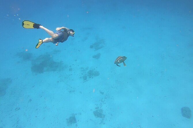 Snorkeling Gear Rental - What’s Included and How It Works