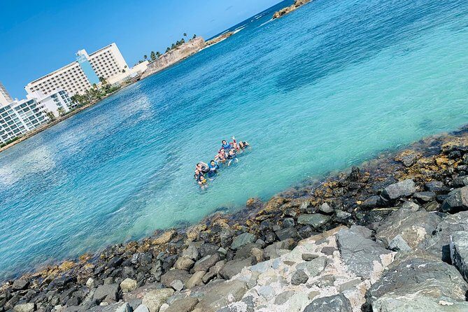 Snorkeling Guided Tour Experience in Condado Lagoon - The Practical Side
