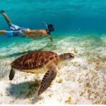 Snorkeling in Paradise - Videos Included - The Guides and How They Elevate the Experience