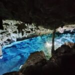 Snorkeling in the Cenotes of Bayahibe - What Youll Experience in the Cenote