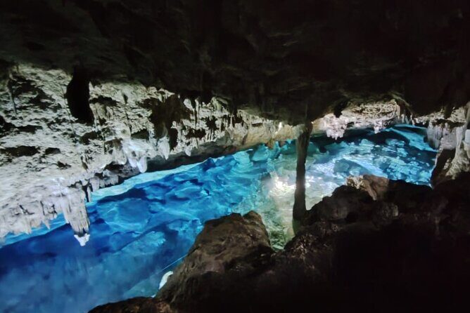 Snorkeling in the Cenotes of Bayahibe - What Youll Experience in the Cenote