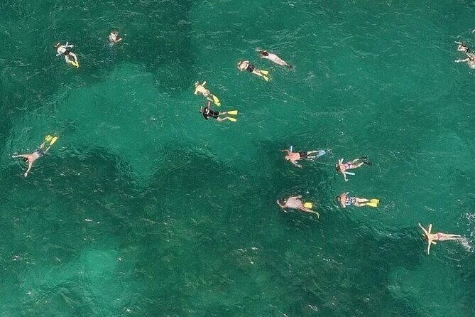 Snorkeling in the Florida Keys - The Value of This Snorkeling Tour