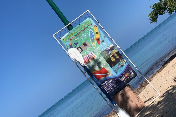 Snorkeling & Kayak Eco-Adventure in Puerto Rico - An In-Depth Look at the Puerto Rico Eco-Adventure