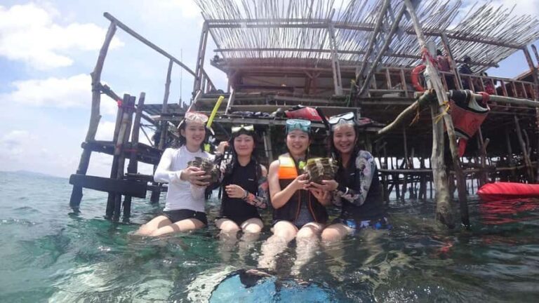 Snorkeling Kayaking Fishing Swimming Activities - The Practical Details