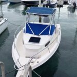 Snorkeling, Swim with Turtles & Beach Day - FAQ