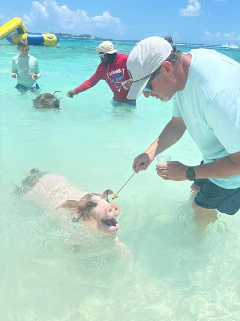 snorkeling, swimming pigs , turtles, harbor tour - Why This Tour Offers Real Value