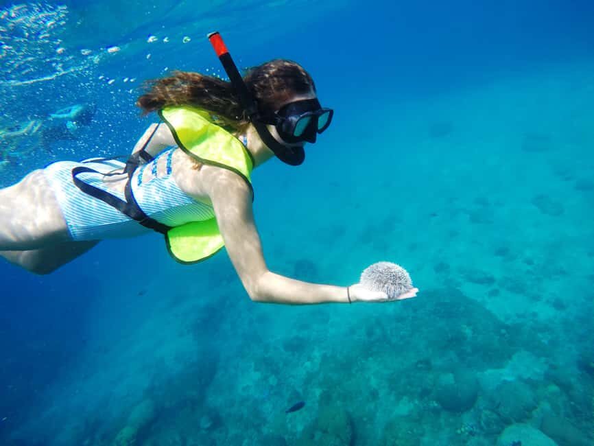 Snorkeling Tour & Sosua Beach Day - The Experience Provider: Eric Tours Int