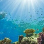 Snorkeling Water Private Activity In Montego Bay Jamaica - Transportation & Practical Details