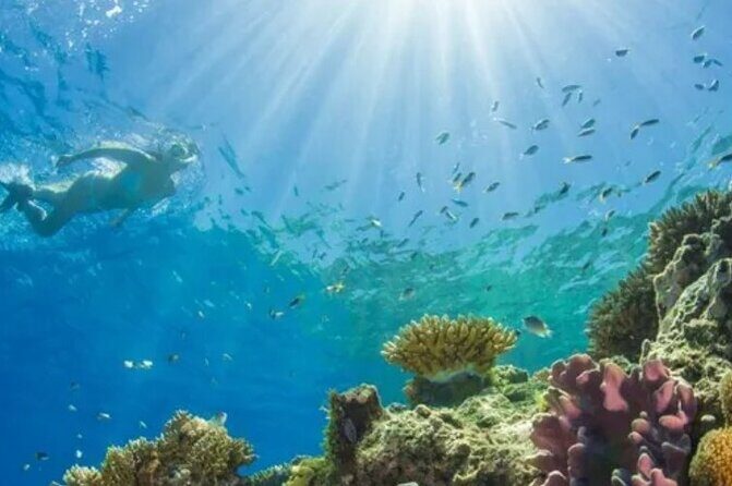 Snorkeling Water Private Activity In Montego Bay Jamaica - Transportation & Practical Details