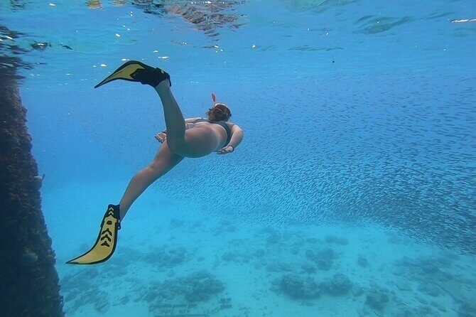 Snorkeling with Sea Turtles - The Benefits of Unlimited Beach Access and Water Sports