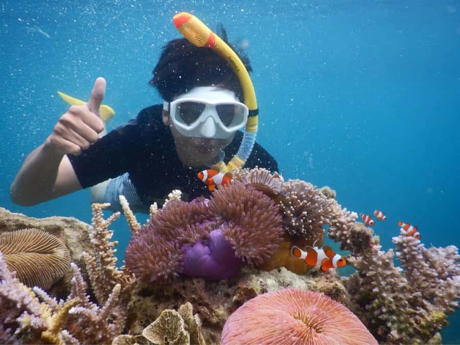 Snorkelling & islandhopping tour Karimunjawa (private tour) - Authenticity and Value